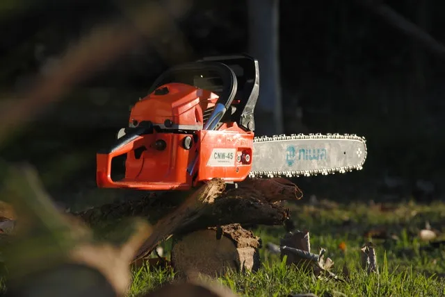 Direction of a Chainsaw Blade | Power Tool Hunter